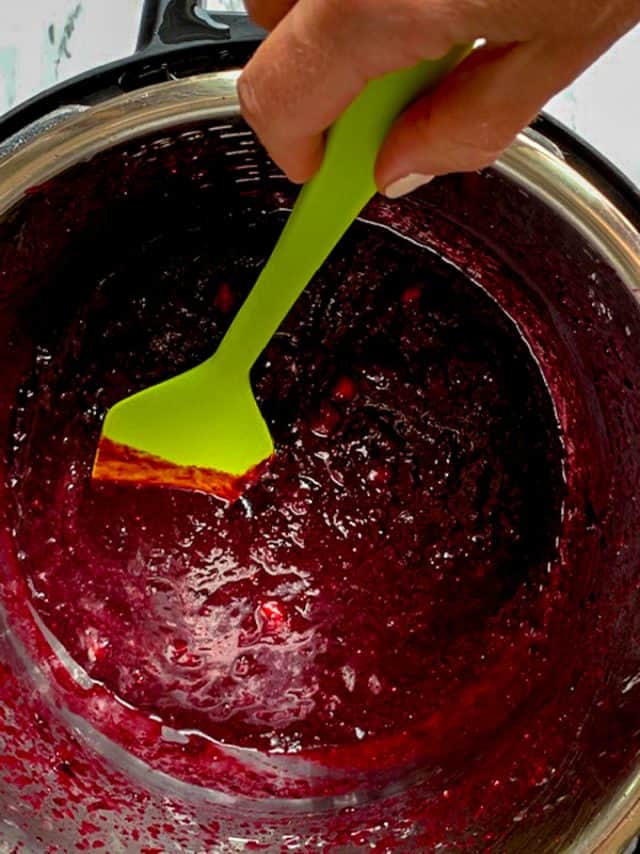 Wojapi, A Native American Berry Sauce | A Baker's House