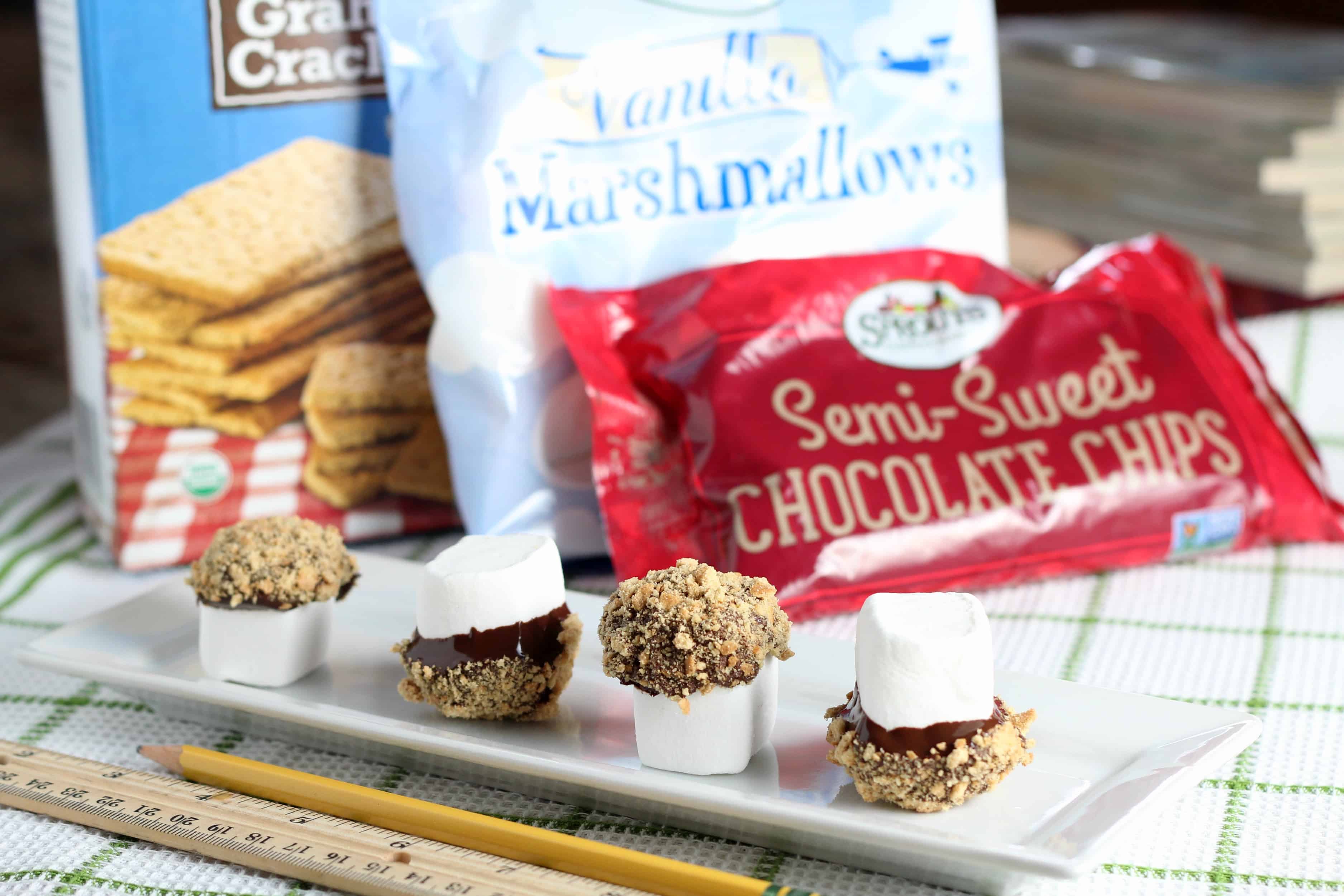 S'mores Bites | A Baker's House